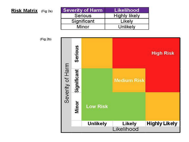 TILS risk clarification tool with case example (East Lothian and ...
